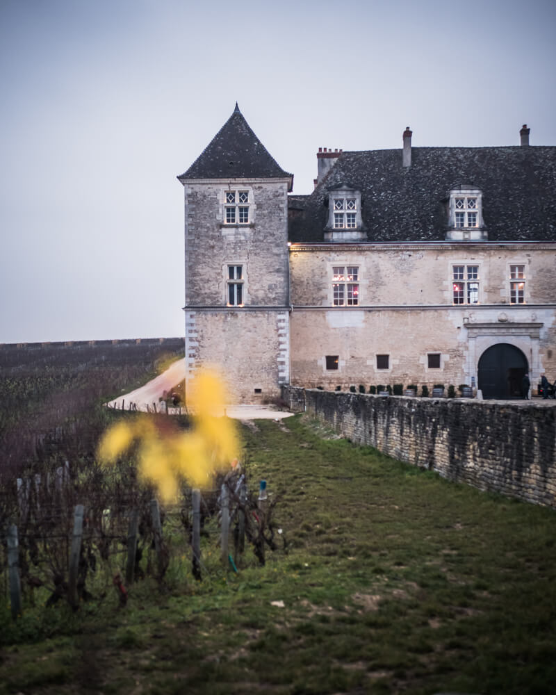 Château du Clos de Vougeot vignes extérieures - Framboise & Capucine
